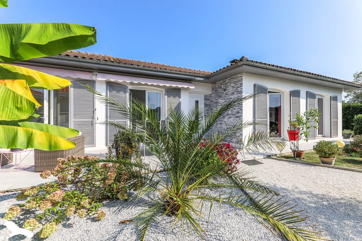 Maison Biscarrosse Bourg 8 Personnes 4 Chambres - Biscarrosse