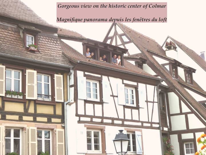 Loft Colmar Centre Petite Venise  3*vueparkingwifi - Colmar