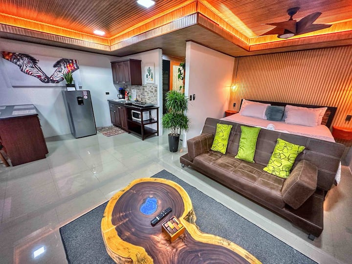 #8 Spotless Fully Furnished Apartment - Wifi - A/c - Costa Rica