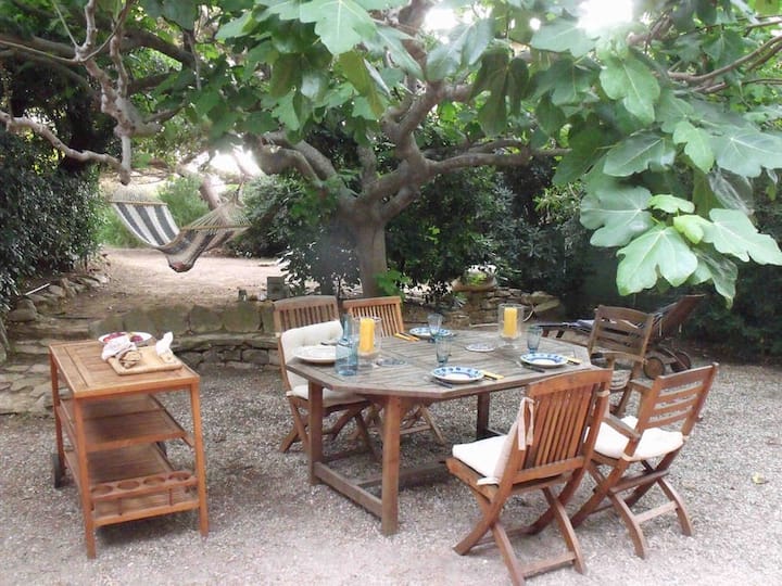 Exceptionnel: Villa Avec Accès Direct à La Mer - Bandol