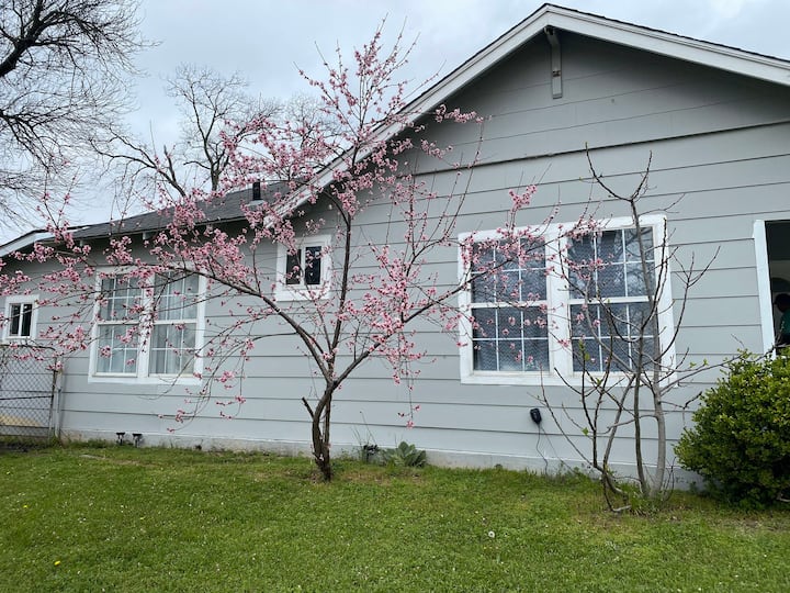 Cozy Home Near Downtown, Deep Ellum, Fairpark. - Dallas, TX