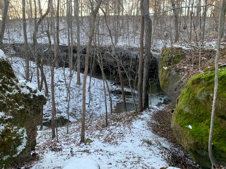 The Meadowlands: The Gnomes Home Habitat Abode #3 - Breckinridge County