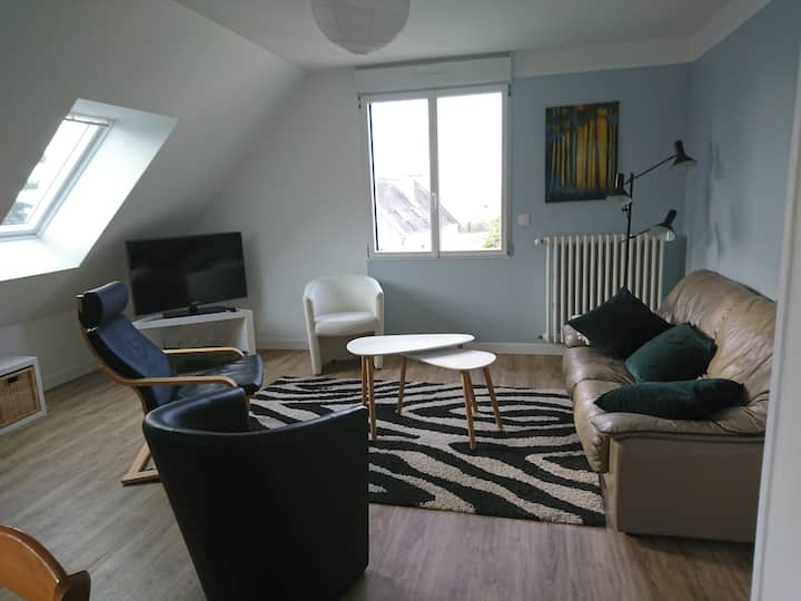 Agréable Appartement Lumineux Entièrement Rénové - Hillion