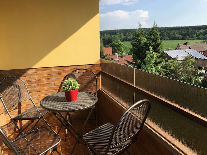 Sonnige Wohnung Mit Fernblick (Fewo Harzsonne) - Braunlage