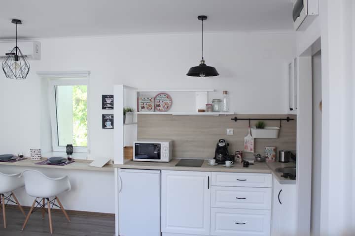 Modern Studio In Menrath Palace - City Center - Novi Sad