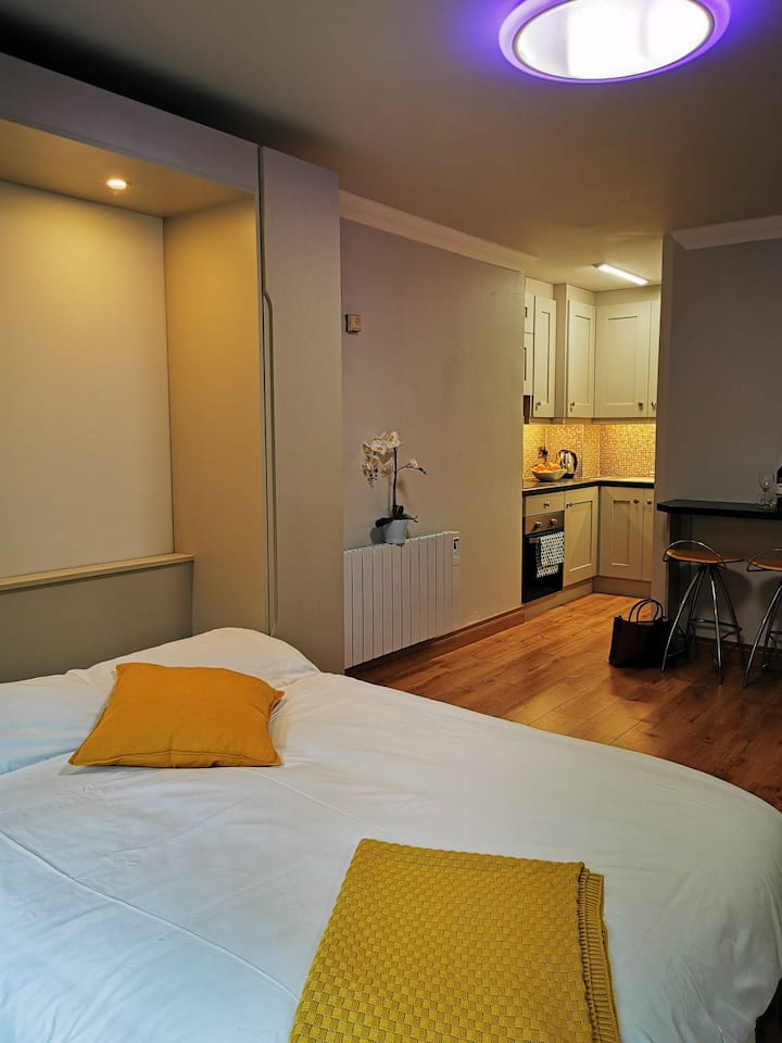 Fancy A City Break? Beautiful Newly Renovated Studio Apartment Available Right On The Quays! - Dublin