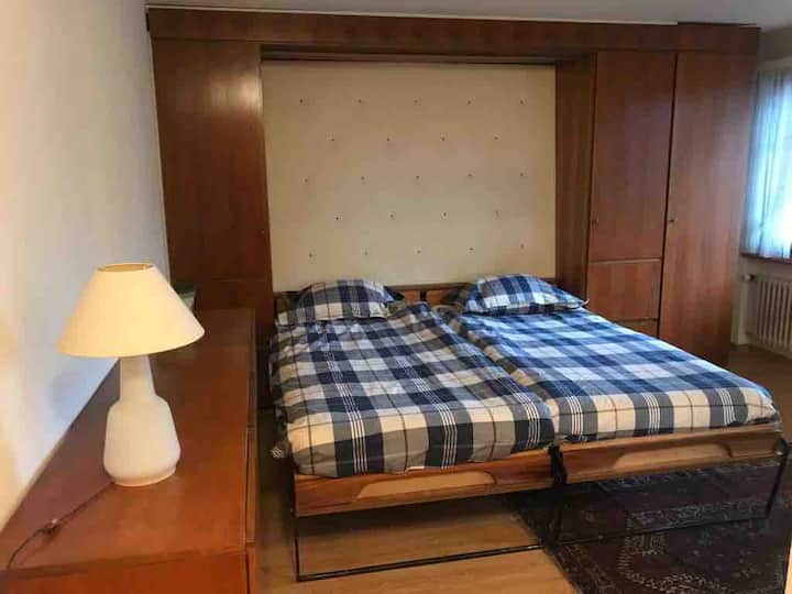 Chalet Caprice App 26 - Gstaad