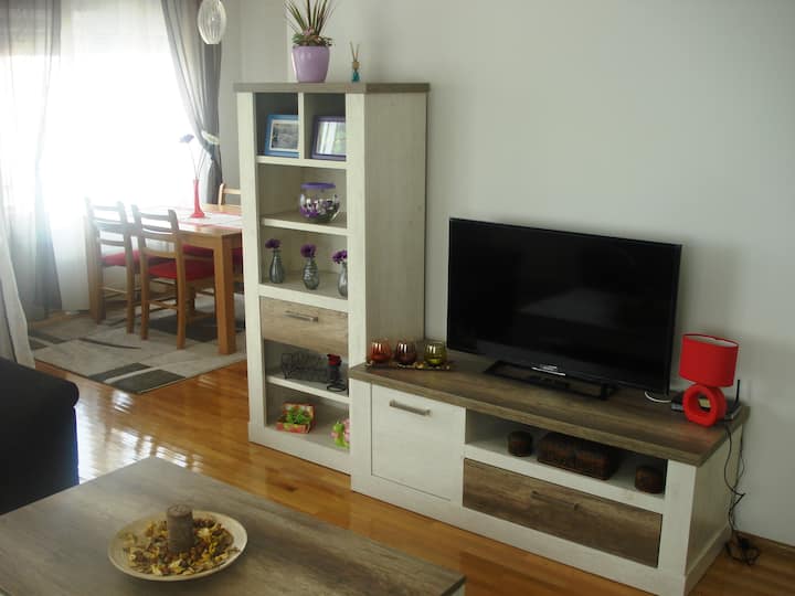Apartment  - City Center - Bosna in Hercegovina