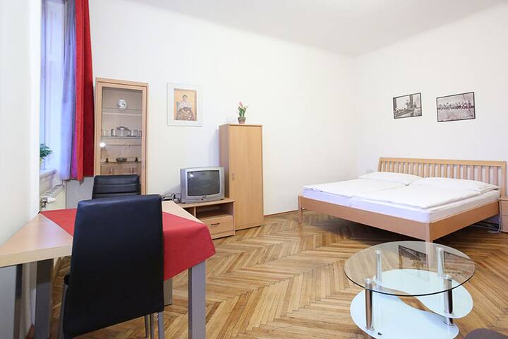 Gemütliches Helles 1-zimmer Apartment Nahe Zentrum - Vienna