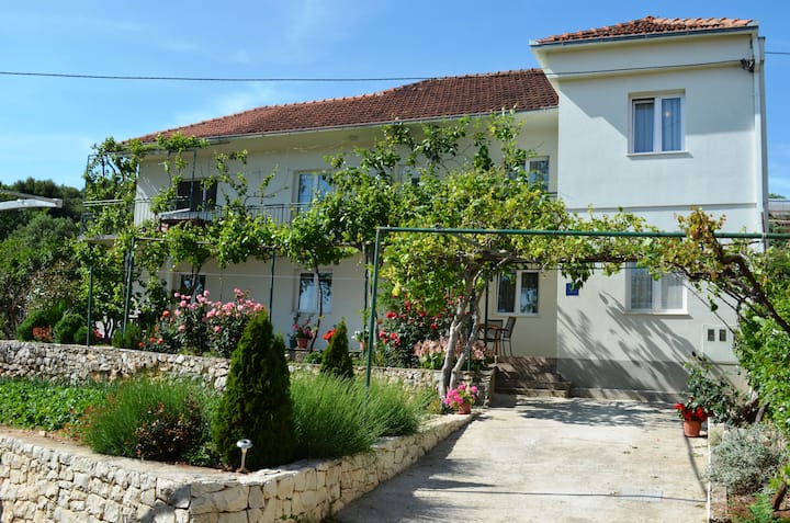 Summer Time @Home Away From Home 2 - Seget Vranjica