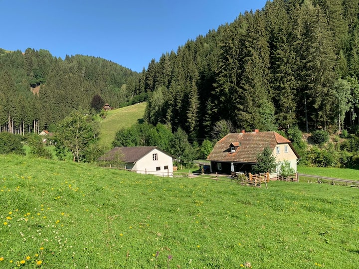 Ferienhaus Hammerer - Oostenrijk