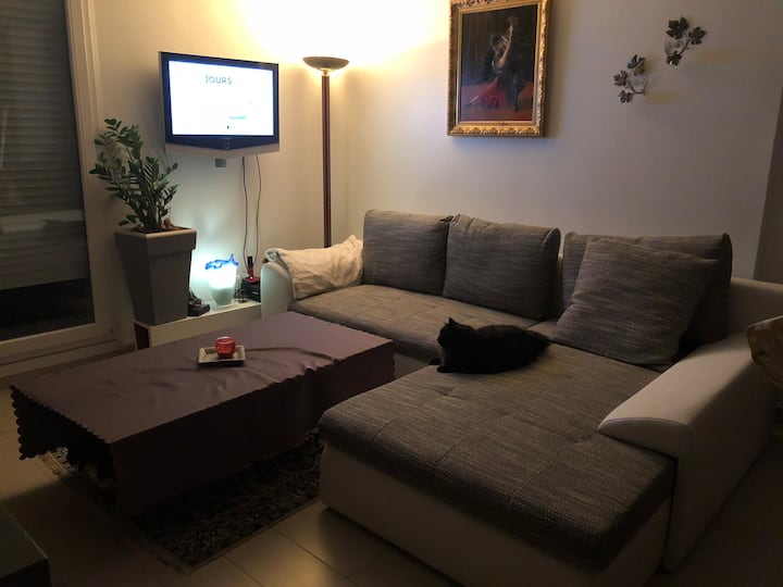 Chambre Privée Climatisée - Proche Petite France - Strasbourg
