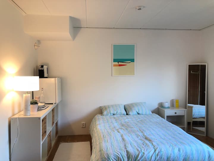 Big Room With All Amenities Close To City Center! - 斯德哥爾摩