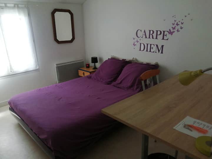 Chambre Chez L'habitant - Chasseneuil-du-Poitou