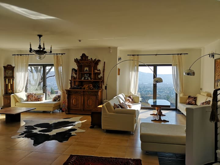 Der Traumblick Ins Rheintal, - Bonn