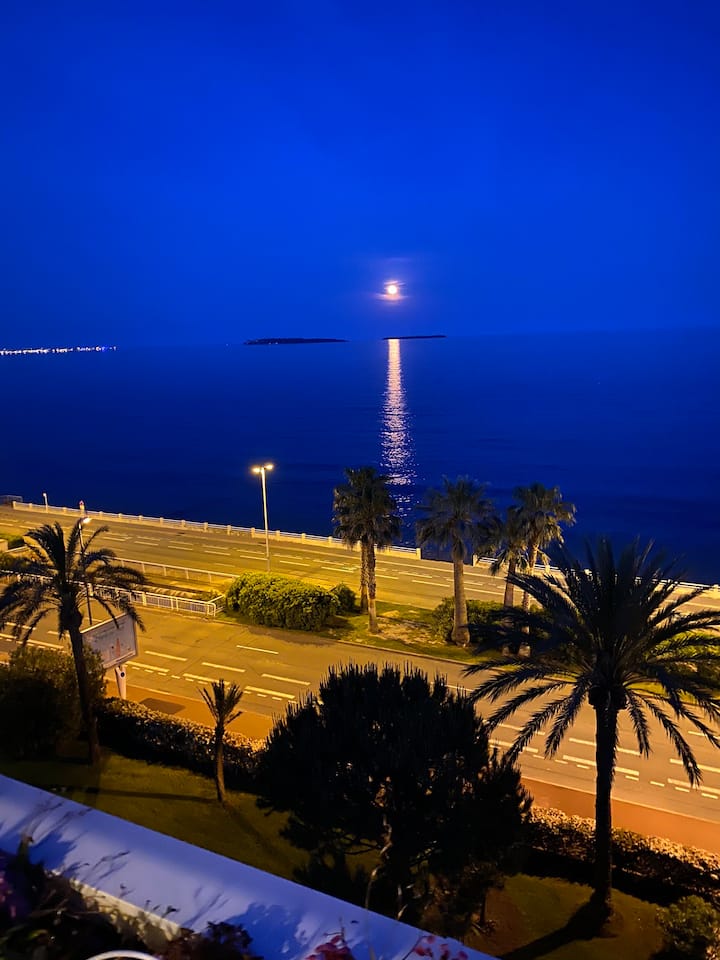 Entre Ciel Et Mer Studio Toit Terrasse Cannes - Cannes