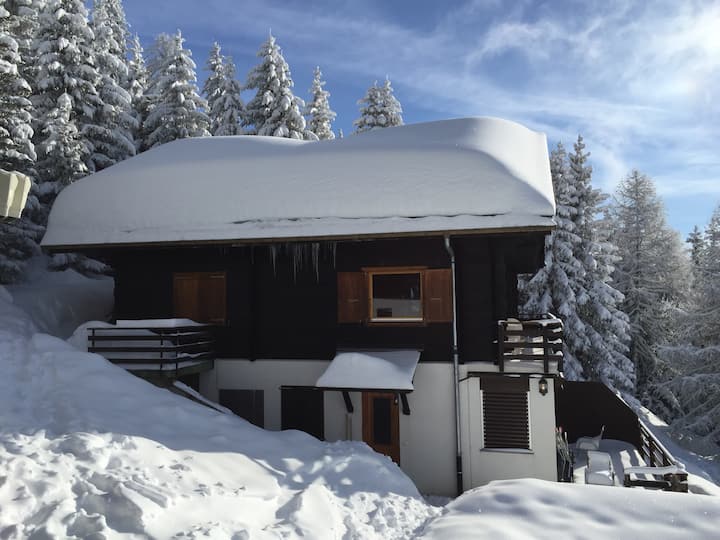4 1/2 Zimmerwohnung An Der Skipiste/ Wandergebiet - Riederalp