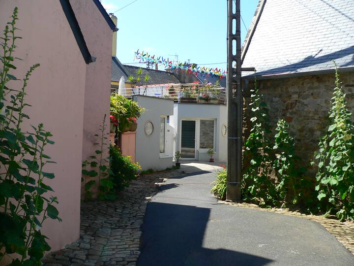 Gite D'artiste 50 M De La Mer Et Des Commerces - Camaret-sur-Mer
