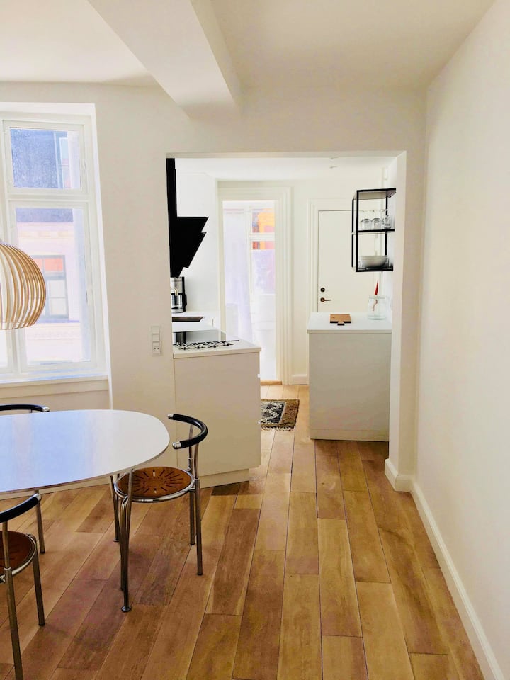 Newly Renovated Central Copenhagen Apartment - Kopenhagen
