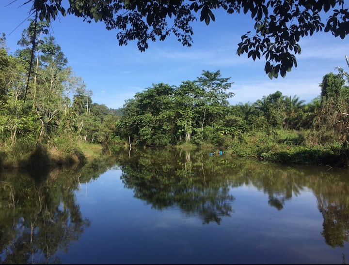 Back Home Naturally And Feel It. - Sungai Lembing