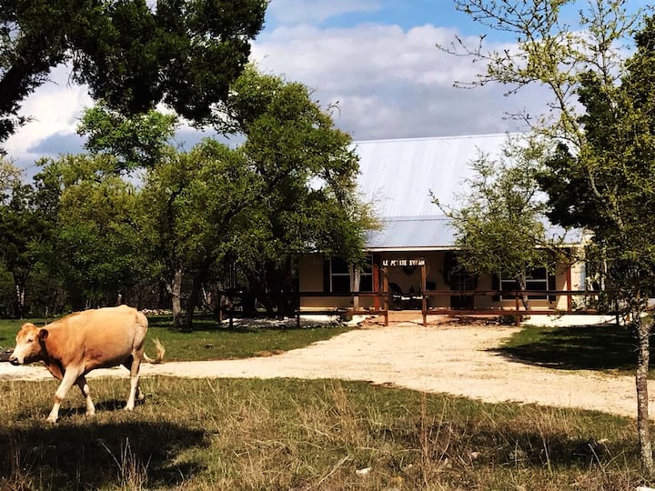Texas Cabins | House and Cottage Rentals | Airbnb