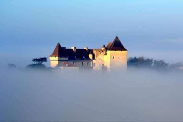 Sud-ouest, Château Privatisé, Avec Piscine - Tarn-et-Garonne