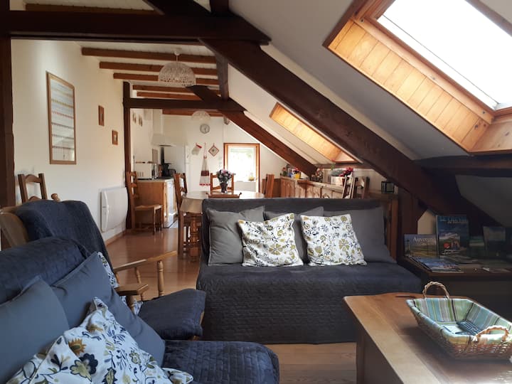 Grand Duplex Lumineux Centre Mont Dore -10%7 Jours - Murol