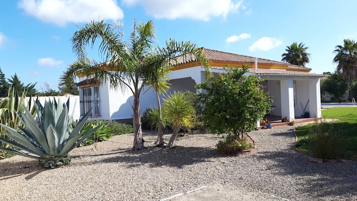 Modern Villa With Large Garden And Pool - Chiclana de la Frontera