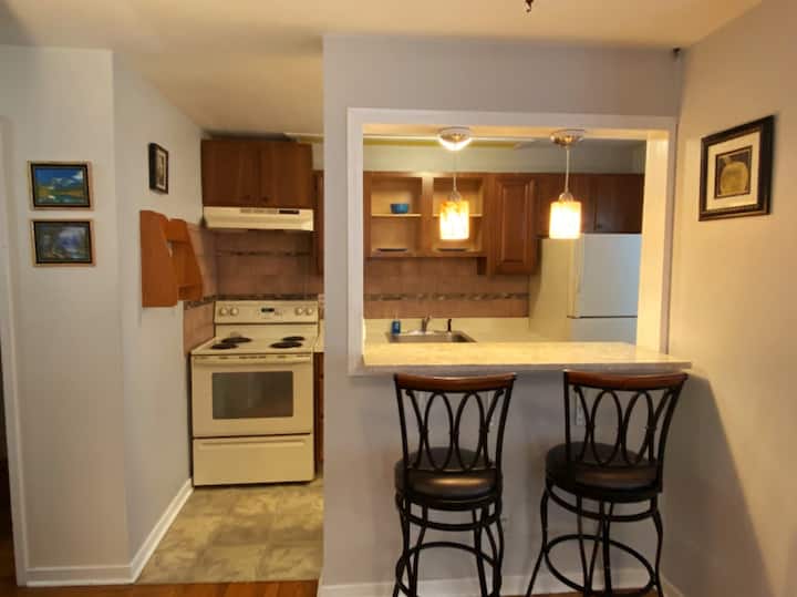 Spacious Home In The Heart Of West Hartford. - West Hartford, CT