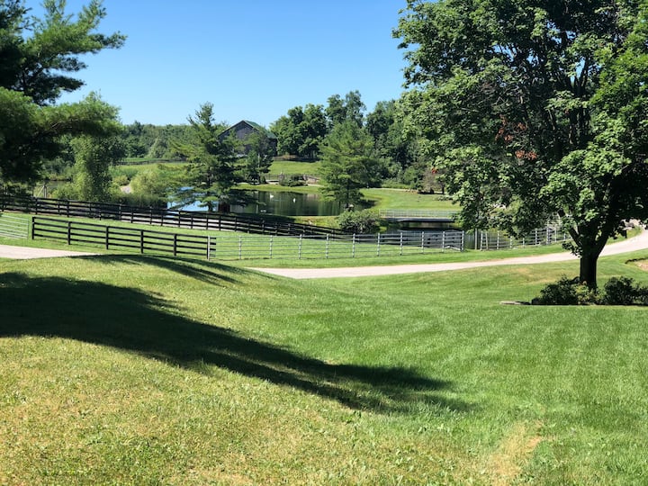 Molinaro Ranch - Milton