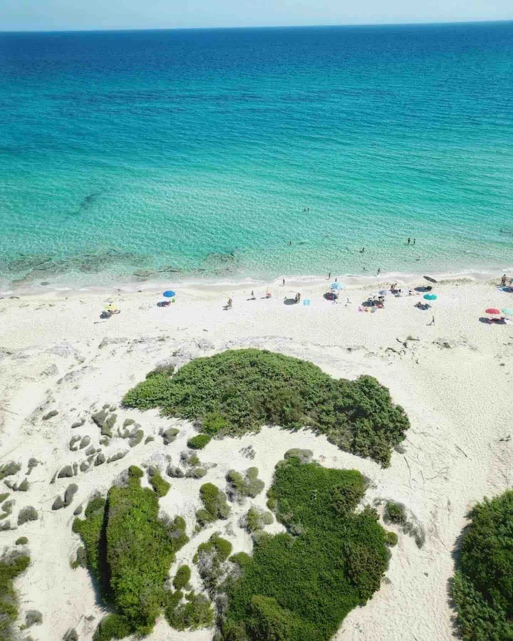 Deliziosa Tavernetta Con Giardino 300mt Dal Mare - Campomarino