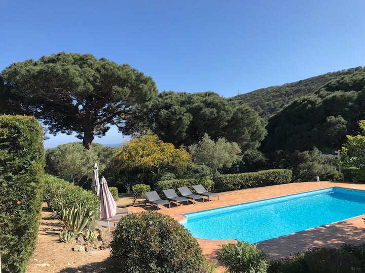 Appartement  Escalet Ii Ramatuelle Vue Mer Piscine - Ramatuelle