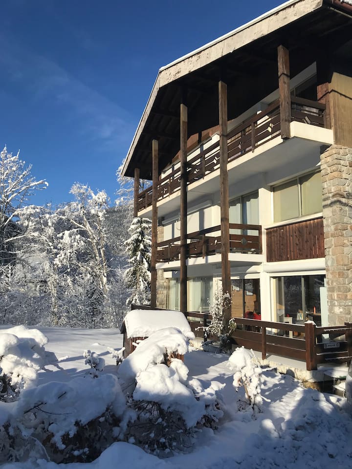 Appartement 2 Chambres Pieds Des Pistes Titochk1 - Les Gets