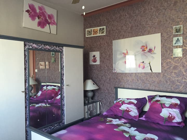 Orchidées Et Galets Dans 1 Pavillon Proximité Facs - Brest