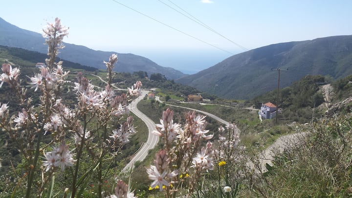 Sougia Villas 2 - Sougia