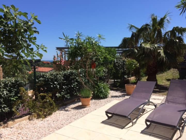 Collioure: T2 Avec Jardin,parking,clim Et Piscine. - Collioure