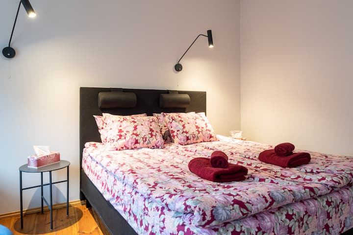 T9 Studio Apartment 250 M From Old Town - Tallinn