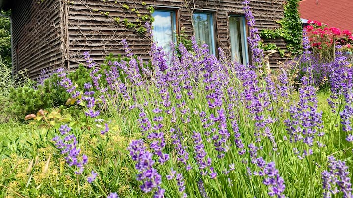 Ferienwohnung Coppanz Bei Jena „Am Waldesrand“ - Jena