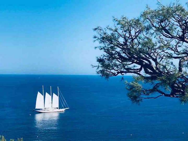 Villa De Rêve -Eze-bord-de-mer - Une Pépite - Èze