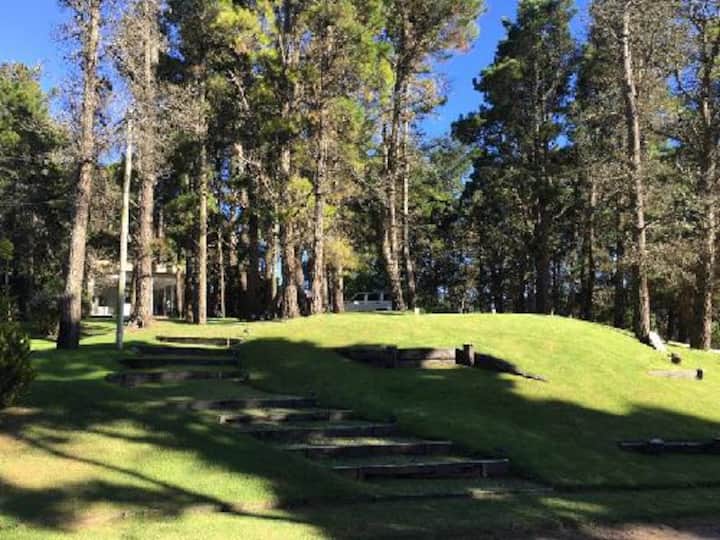 El Mago Del Bosque - Villa Gesell