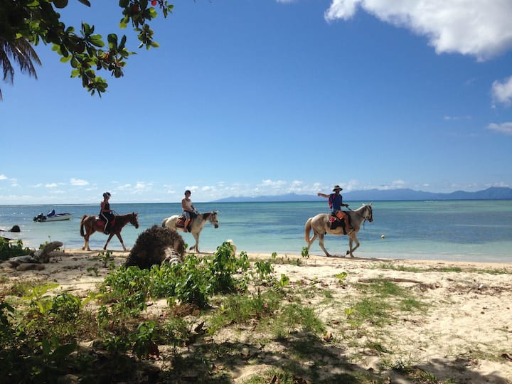 Rêvez Marie-galante ! Rêvez Appaloosa Lodge ! - Marie-Galante