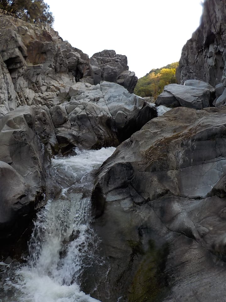 Petit Paradis Dans La Forêt Les Pieds Dans L'eau - Saint-Jean-du-Gard