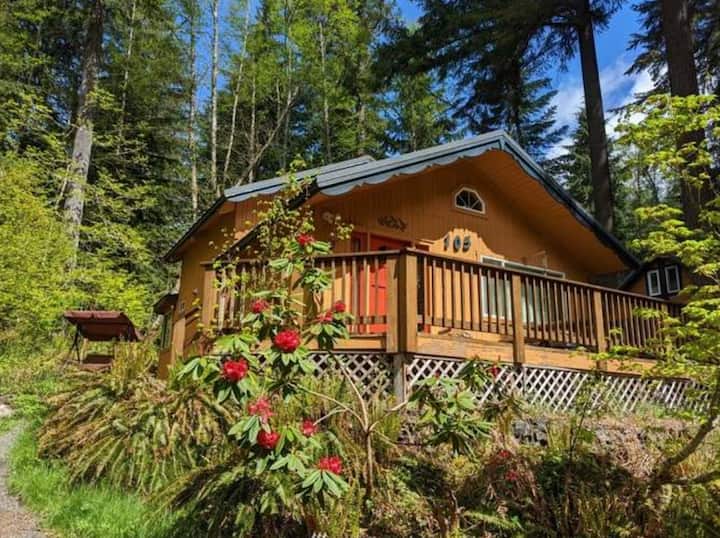 Cabin With View Hottub Sauna 5mi Rainier Np Wi-fi - Ashford, WA