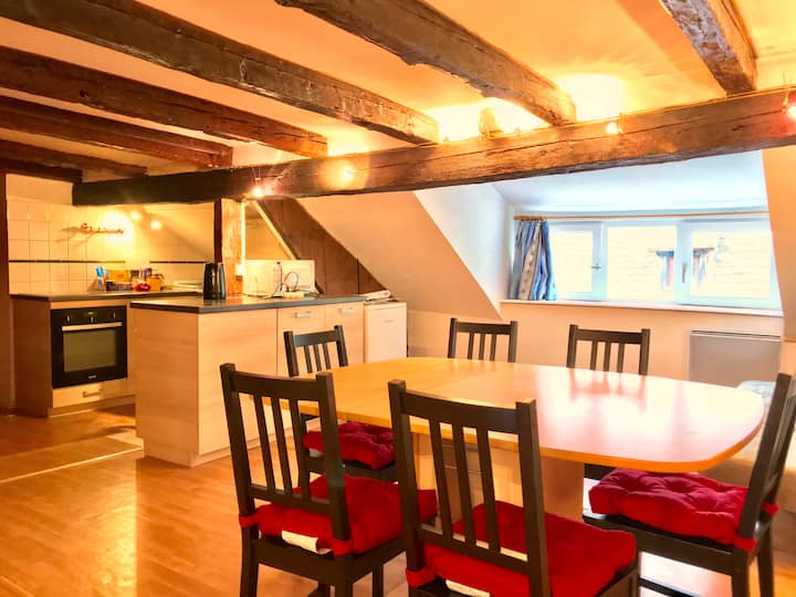 Attic Duplex In The Heart Of Strasbourg - Strasbourg