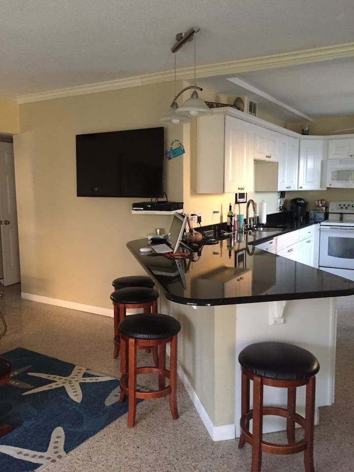 Florida Beach Condo - New Smyrna Beach, FL