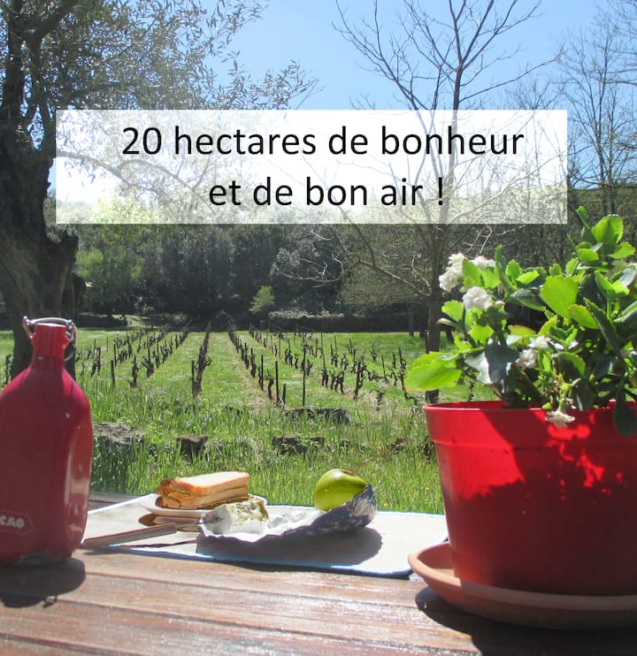 Gite Du Bonheur 2-4 Personnes - Anduze
