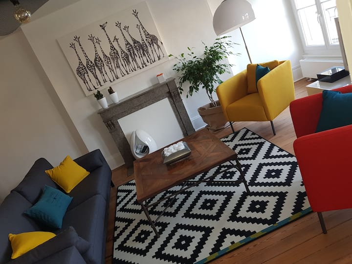 Superbe Appart Entièrement Refait  Centre Ville - Chalon-sur-Saône