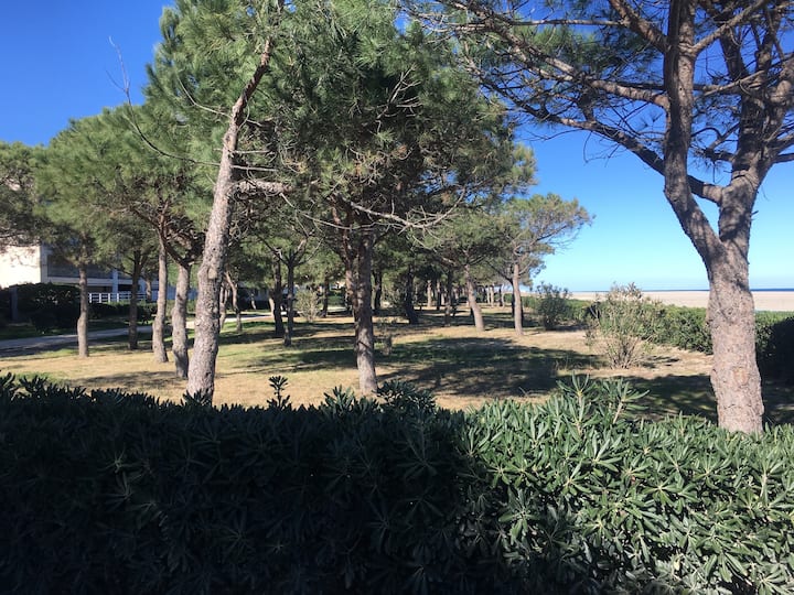 T3  Avec Piscine, Tennis à 2 Pas De La Mer - Argelès-sur-Mer