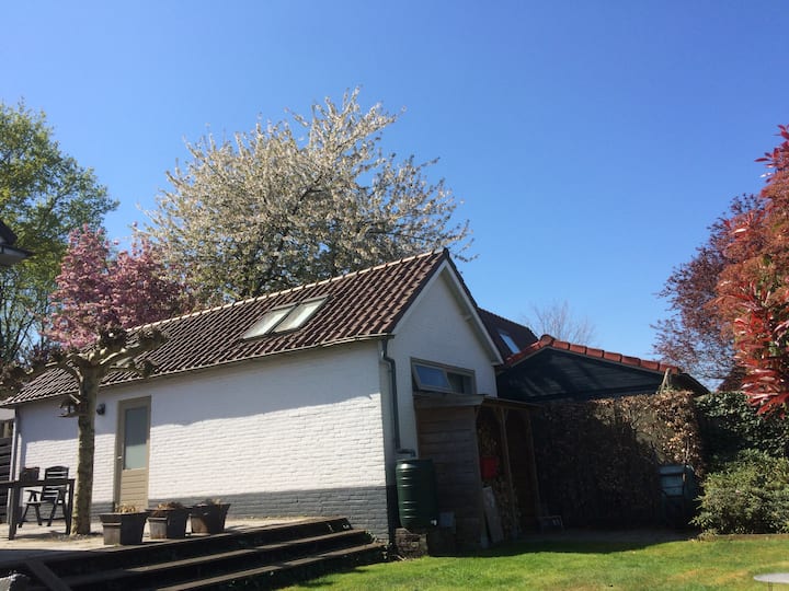 The Duet - Veenendaal