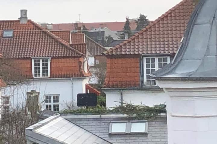 Bright 3-room Flat In Quiet Historic Neighbourhood - Copenhagen